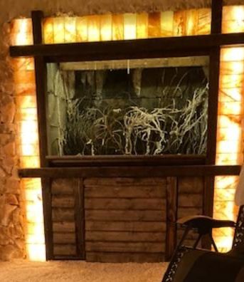 The Salt Cave- revisited – AROUND THE TOWN CHICAGO